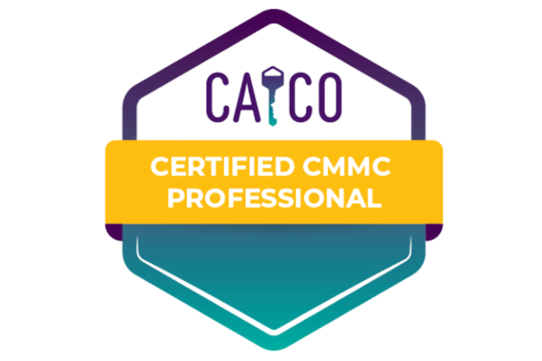 Redspin CMMC Training